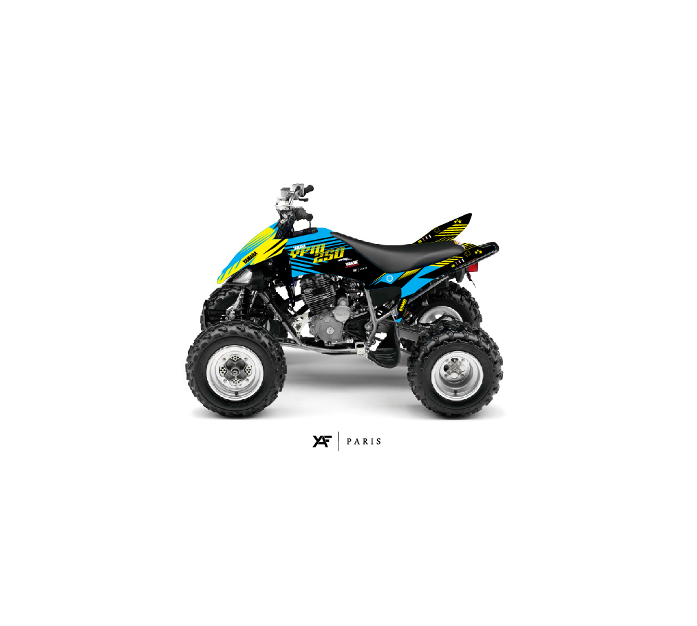 YFM 250 RAPTOR CYLOW – YAF PARIS